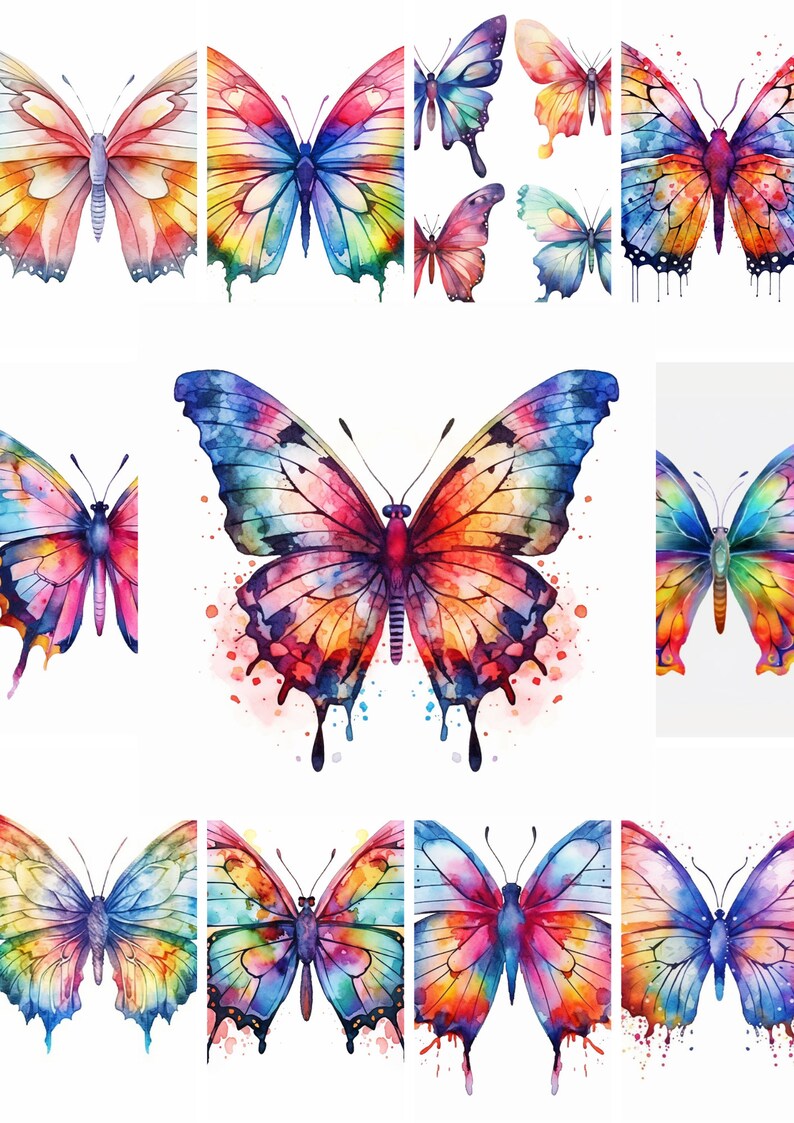 Watercolor Butterfly Clipart Set (30 PNG & SVG) - Etsy