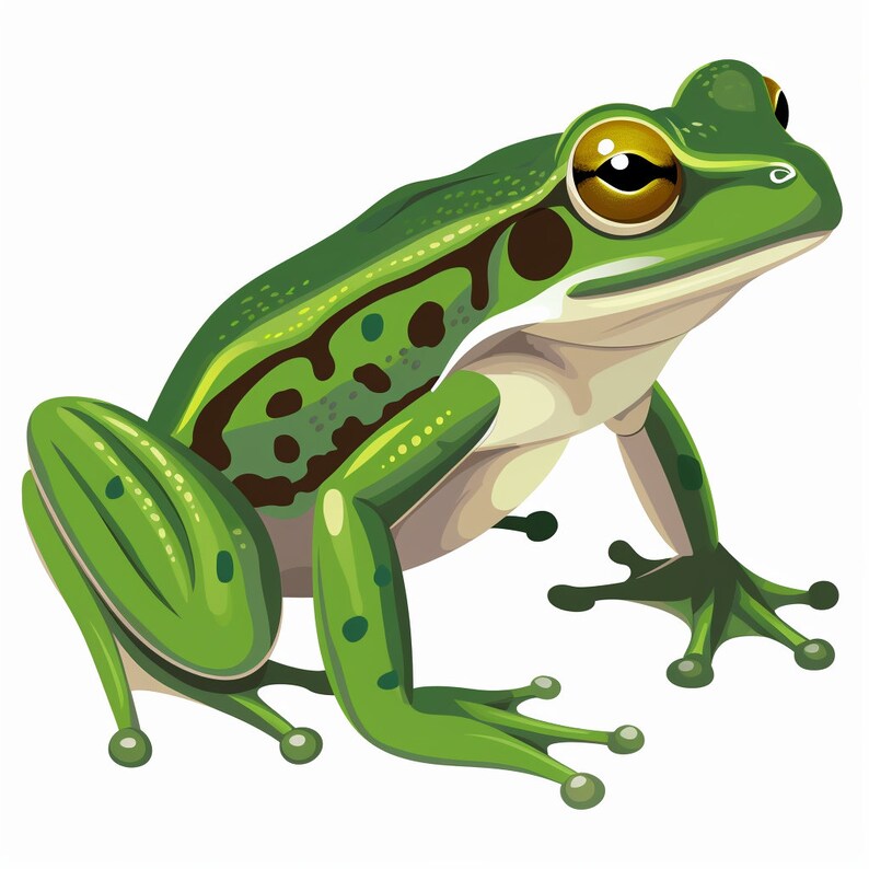 Frog Clipart Frog Png Frog Svg Goblincore Cute Frog Creepy Frog Frog ...