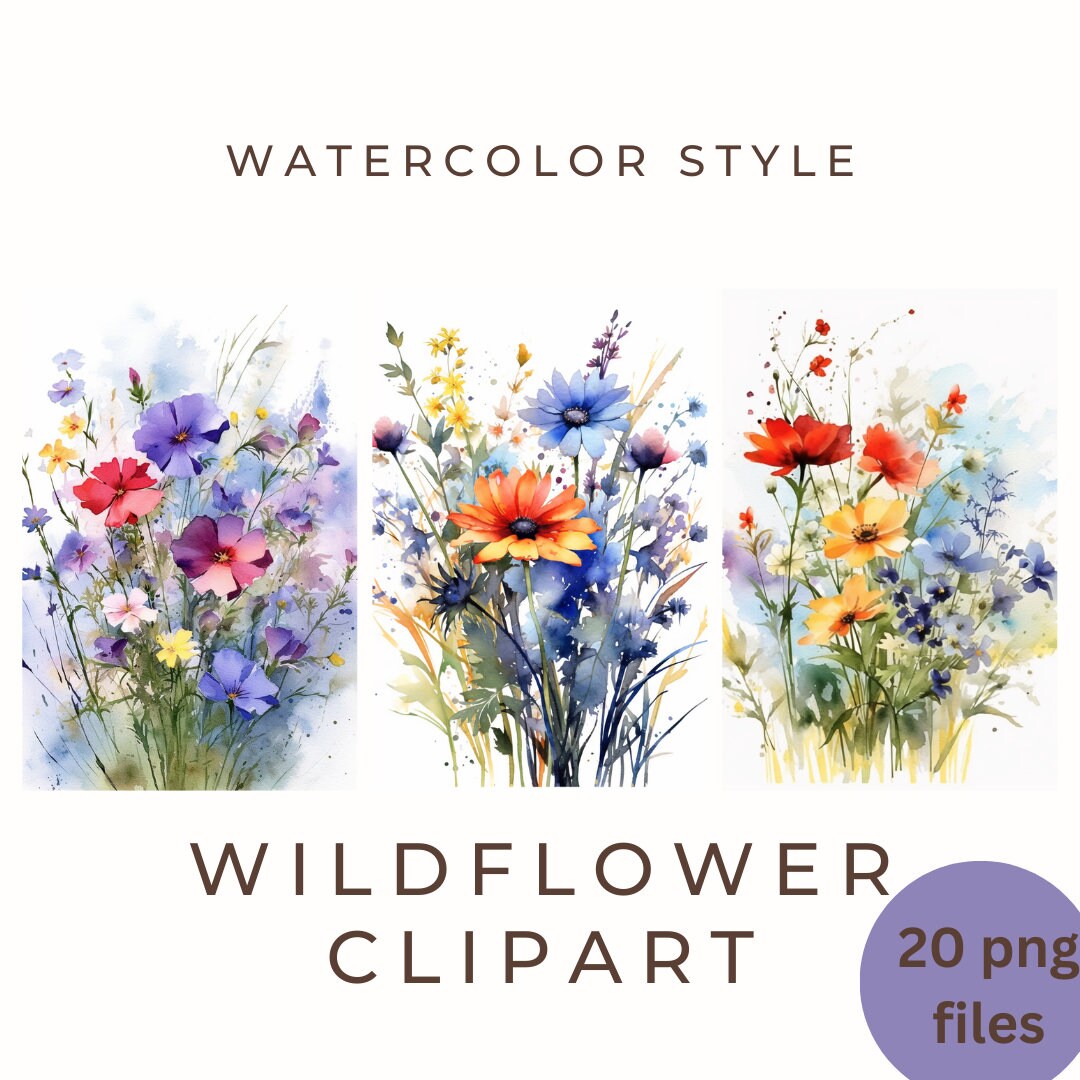 Watercolor Wildflower Bundle Springflower Clipart Retro Wildflower Png ...