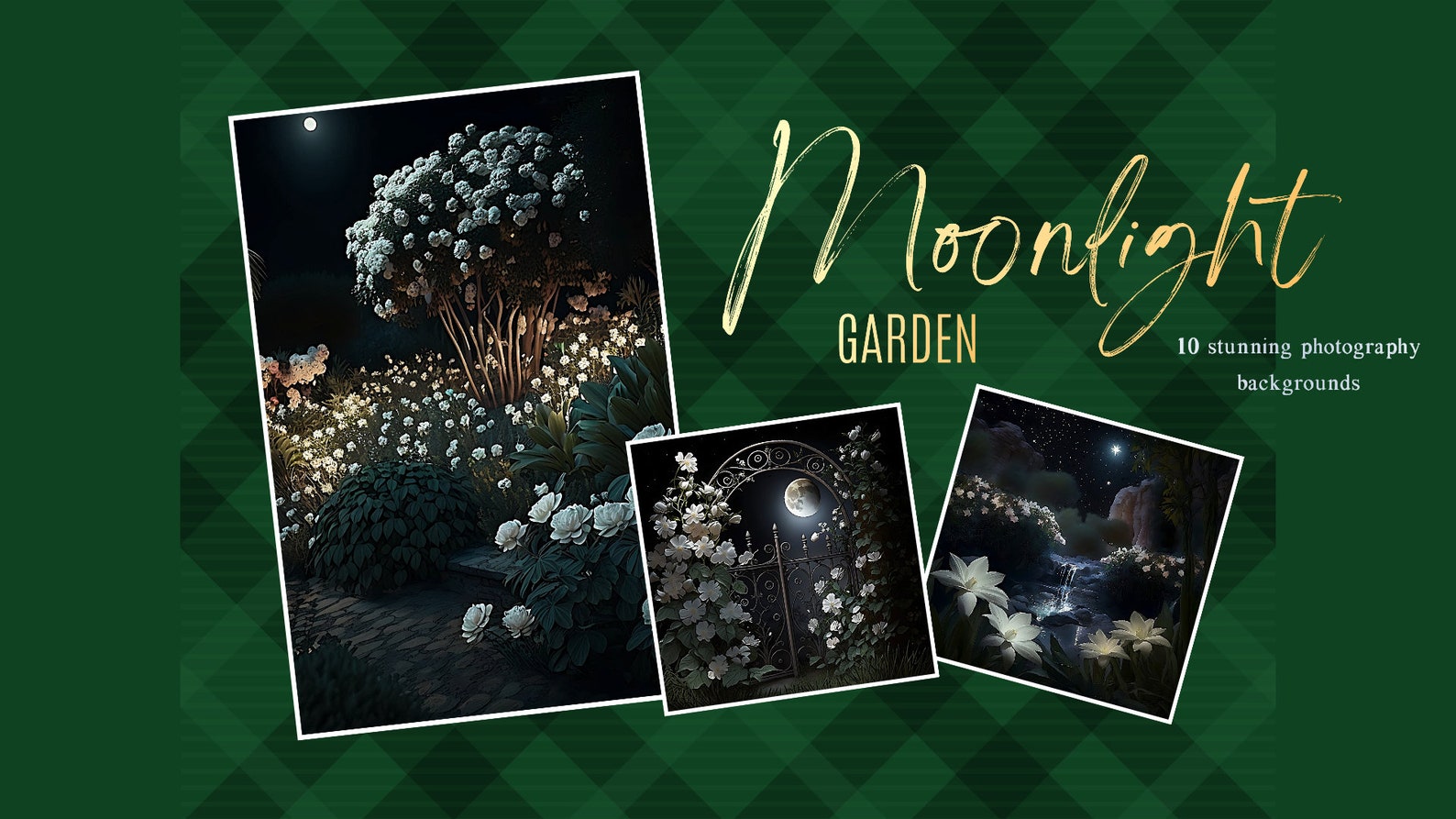 Digital Backdrops, Moonlight Garden, Backdrop Overlays, Photography ...