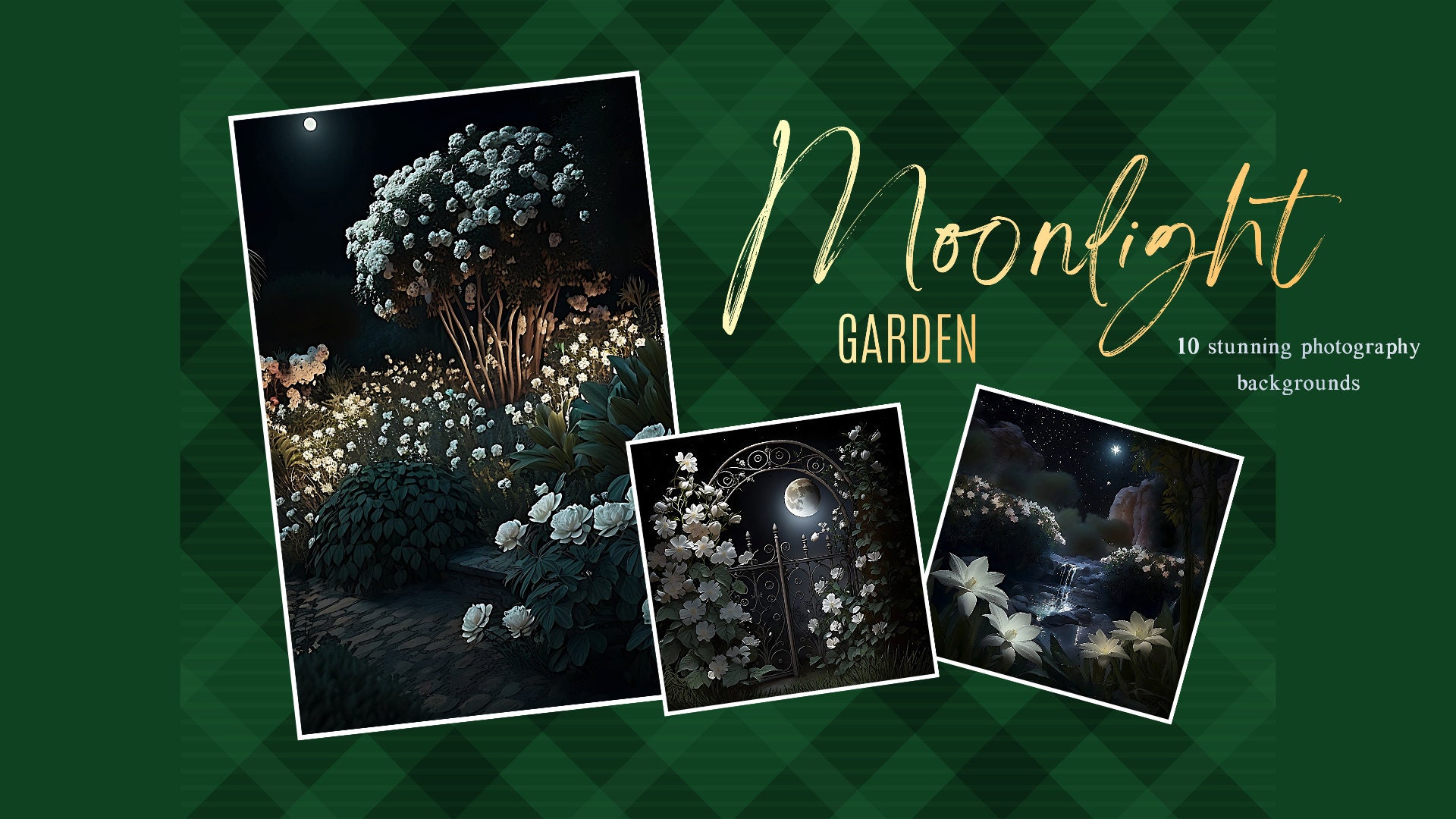 Digital Backdrops, Moonlight Garden, Backdrop Overlays, Photography ...