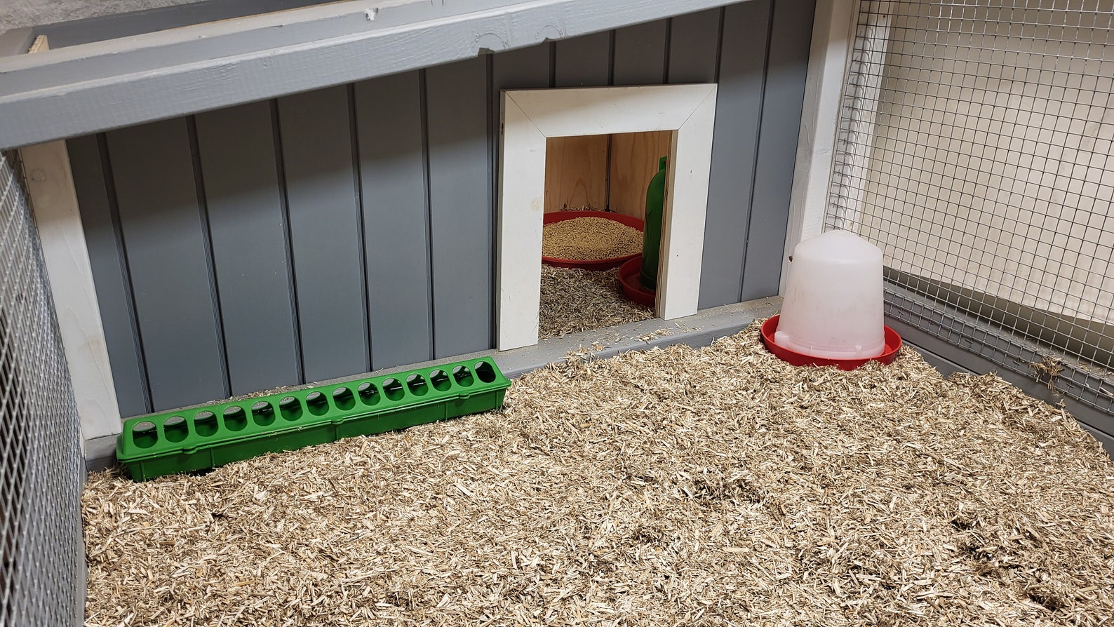 DIY Plans. Brooder Box for Broody Hen, Quail, Cage for Rabbit, Guinea ...