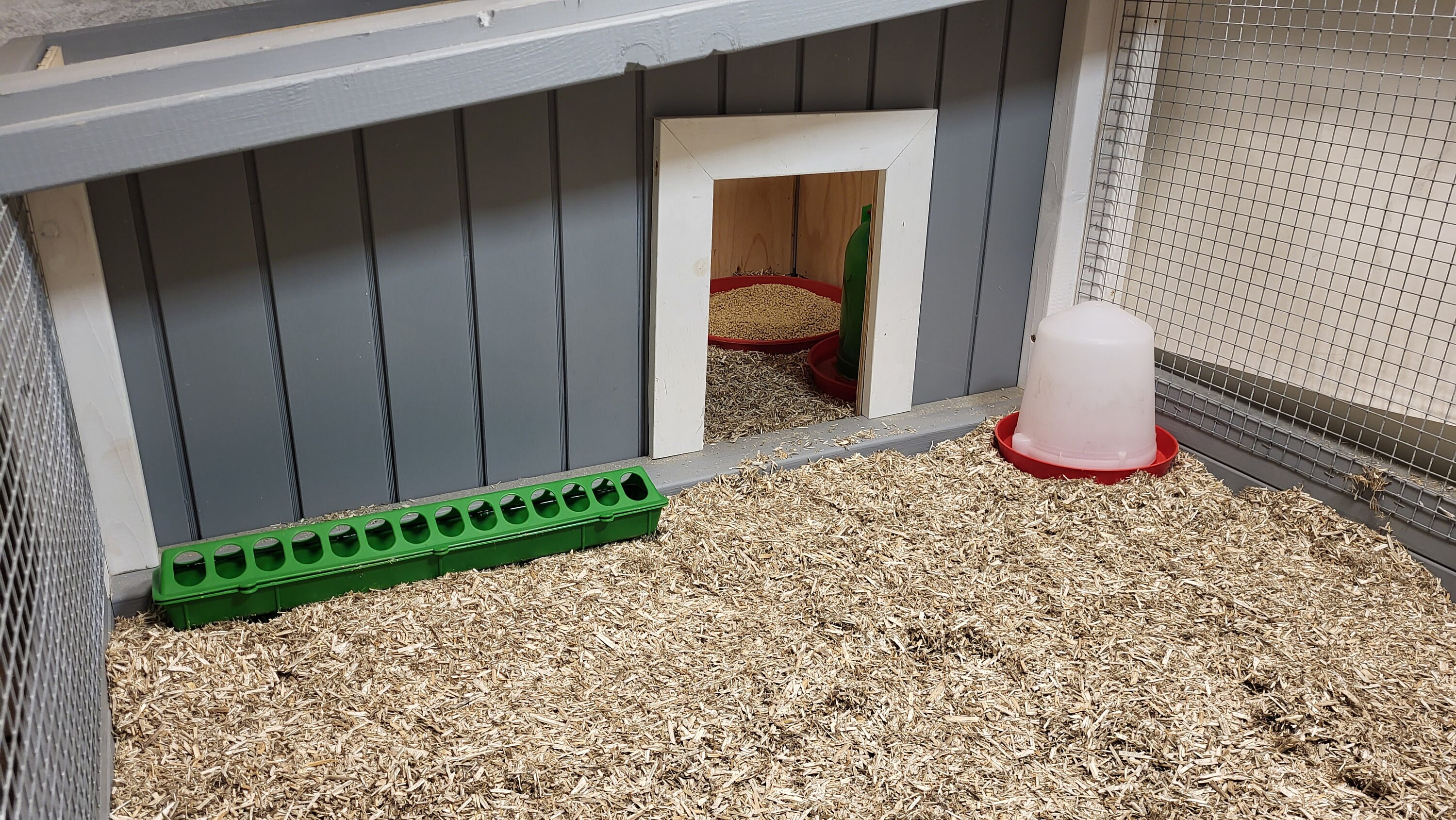 DIY Plans. Brooder Box for Broody Hen, Quail, Cage for Rabbit, Guinea ...