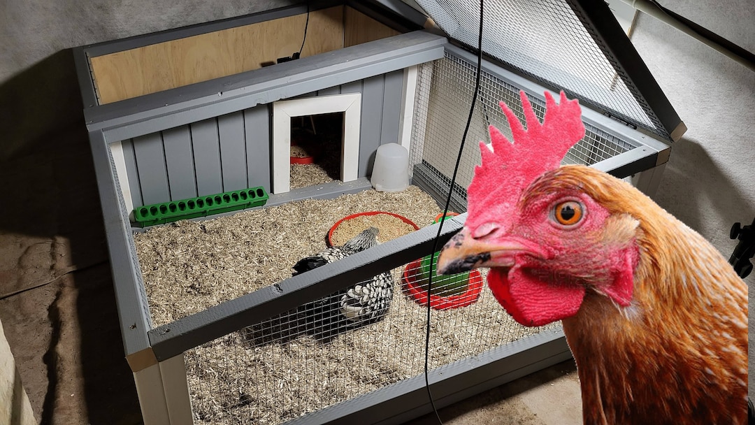 DIY Plans. Brooder Box for Broody Hen, Quail, Cage for Rabbit, Guinea ...