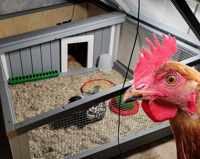 DIY Plans. Brooder Box for Broody Hen, Quail, Cage for Rabbit, Guinea ...