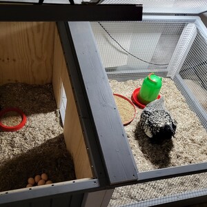 DIY Plans. Brooder Box for Broody Hen, Quail, Cage for Rabbit, Guinea ...
