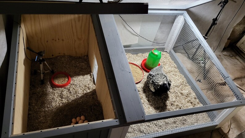 DIY Plans. Brooder Box for Broody Hen Quail Cage for Rabbit - Etsy