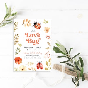 Love Bug Birthday Party Invitation, Editable Ladybug Birthday Party ...