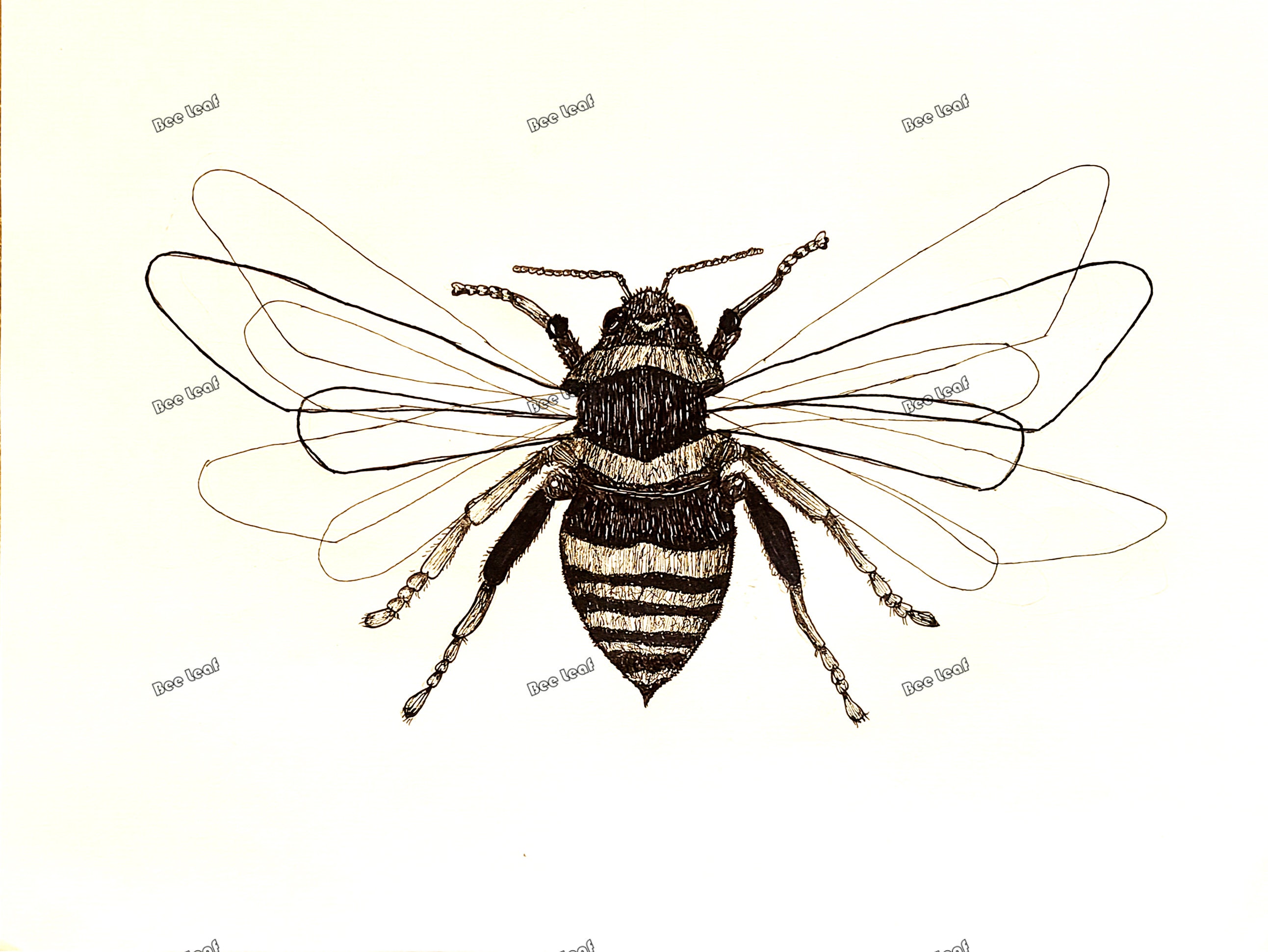 Realistic Bee Print - Etsy