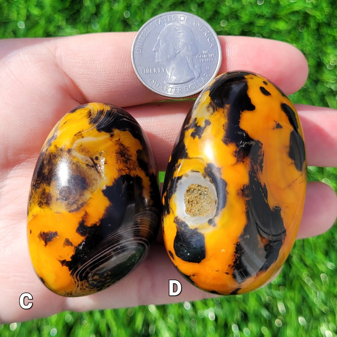 Bumblebee Agate Sardonyx Dyed Crystal Palm Stones to Choose From - Etsy