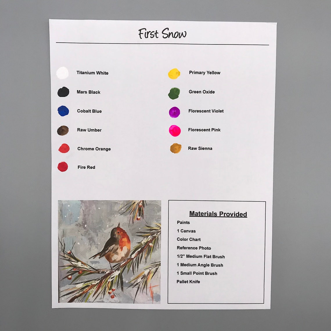 Bird Painting Kits DIY Paint Kits Acrylic Painting Kits - Etsy