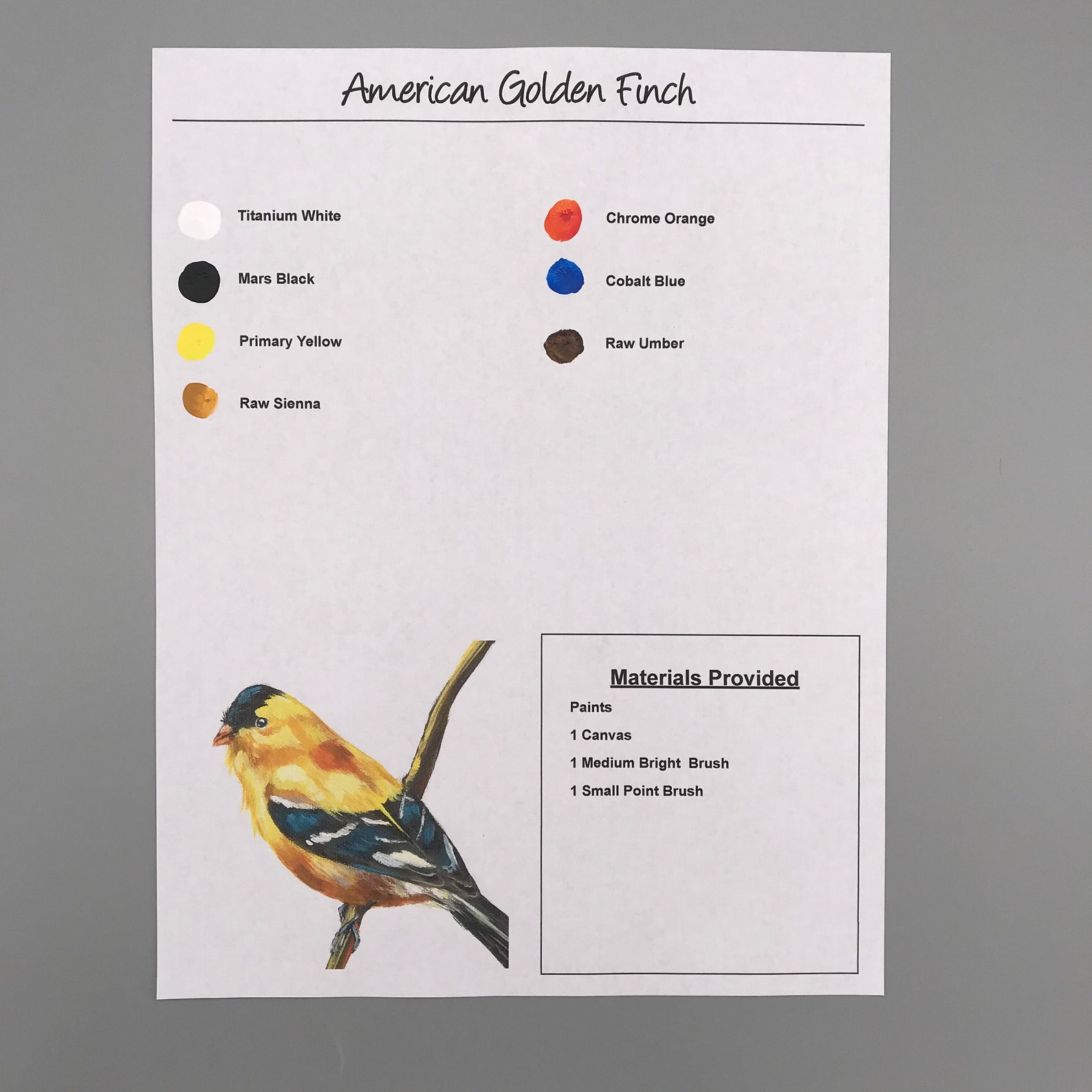 Goldfinch Bird Acrylic Painting Kit . DIY Paint Kits - Etsy
