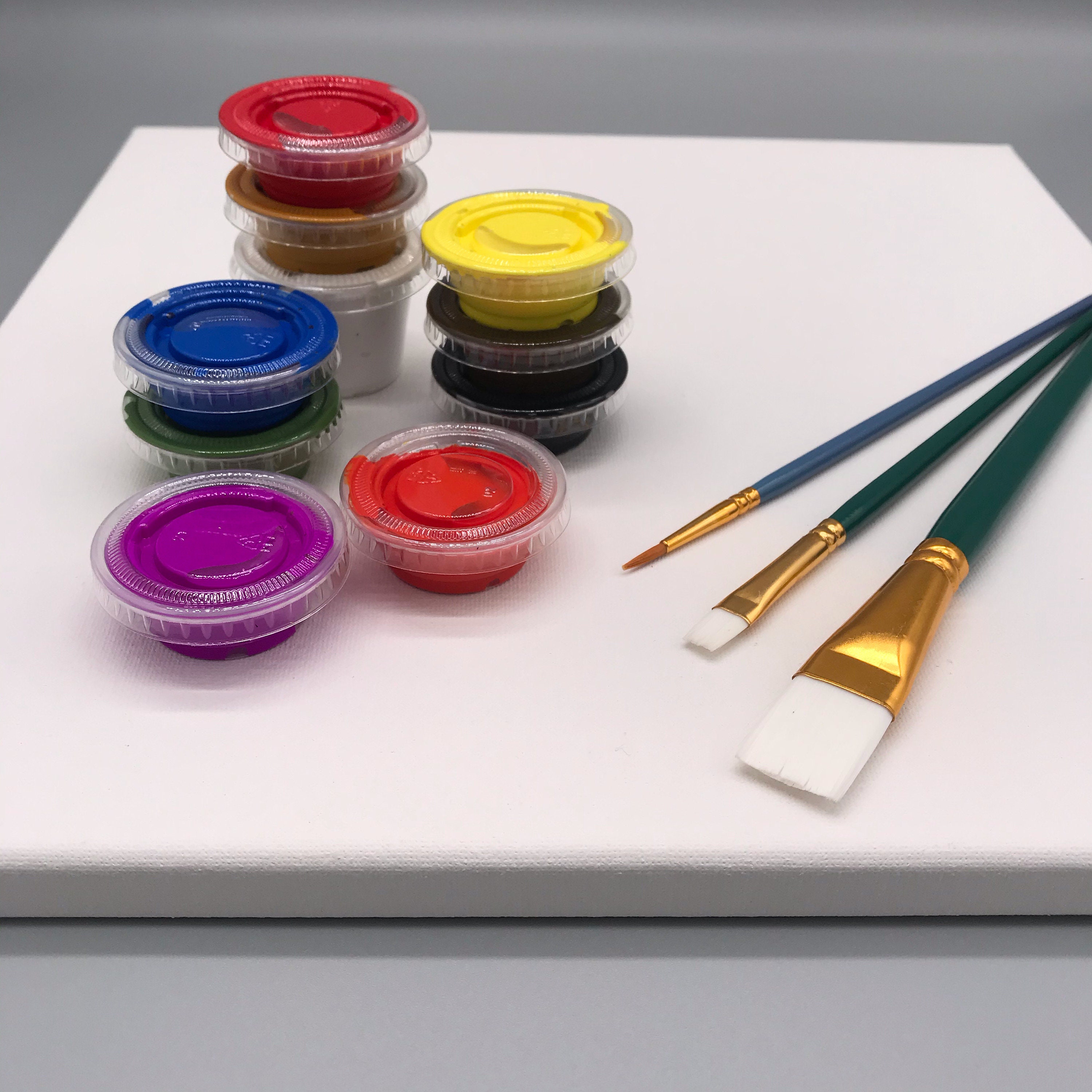 Flower Painting Kit . DIY Paint Kit . Acrylic Painting - Etsy