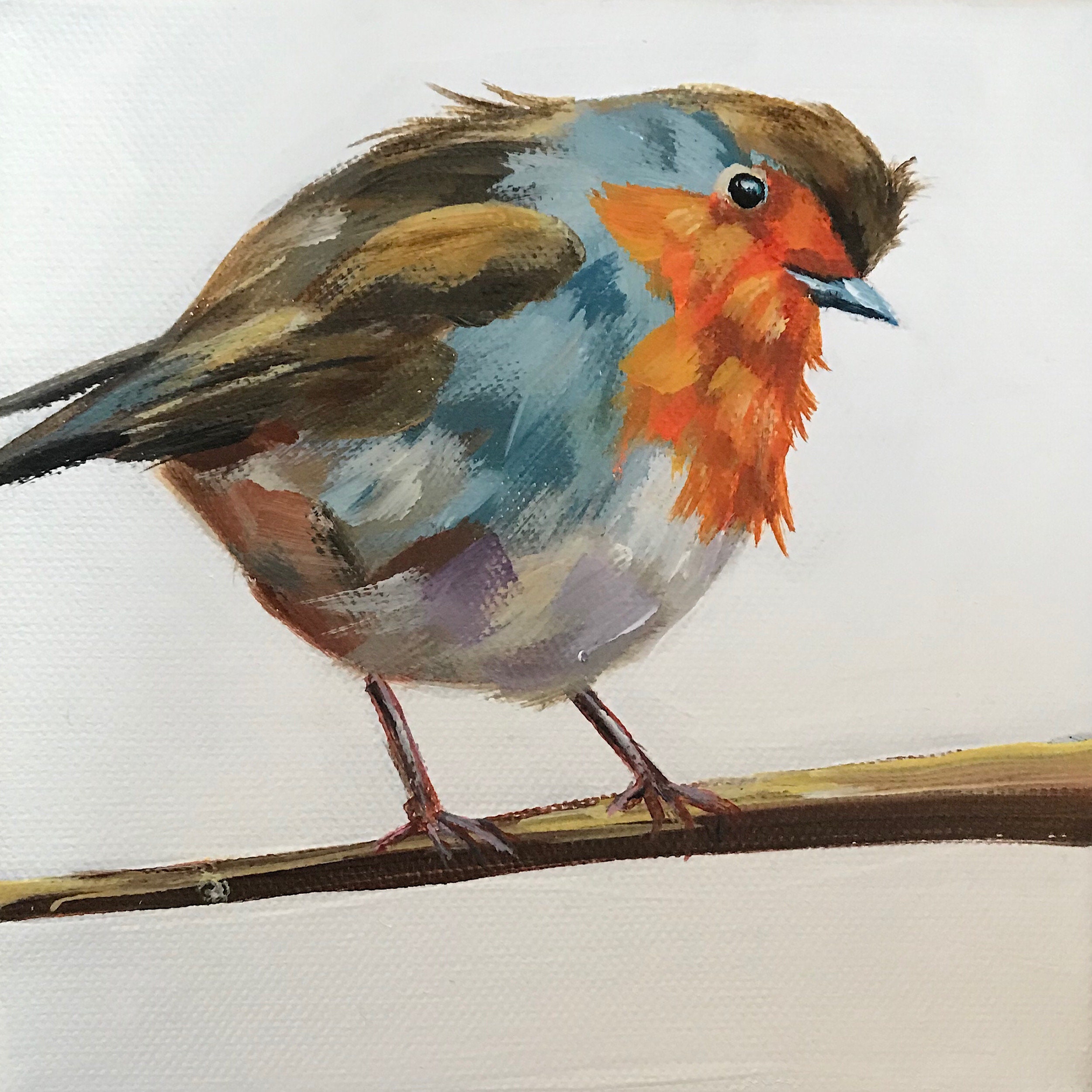 Bird Art Print . Home Decor . Robin Bird . Small Art Prints | Etsy