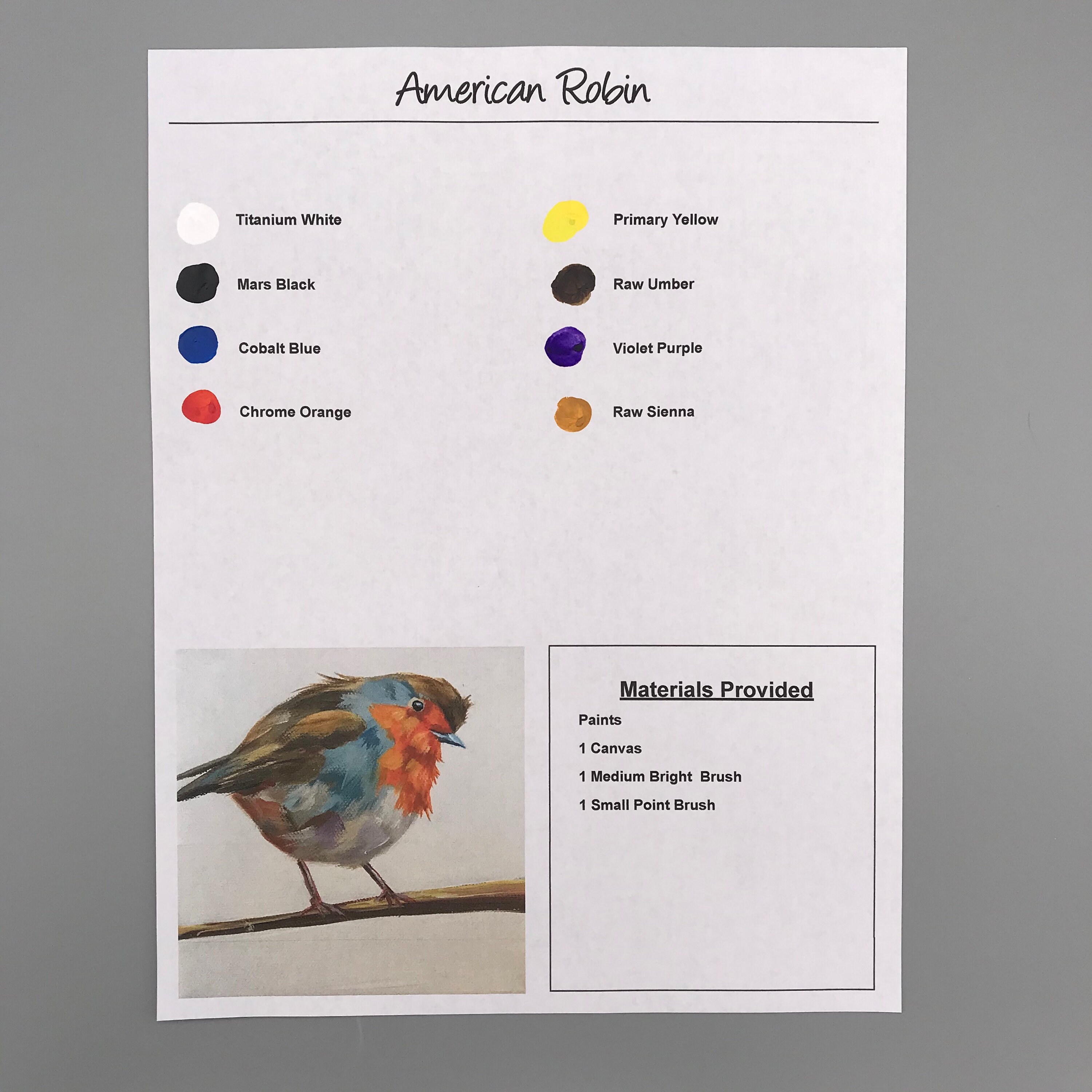 Robin Bird Acrylic Painting Kit DIY paint kits | Etsy