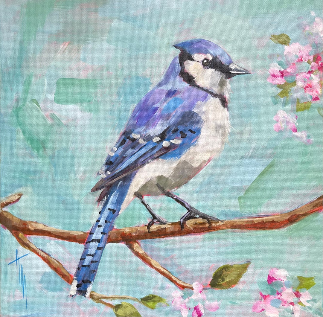 Bird Painting Kits | DIY Paint Kits | Acrylic Painting Kits | Bluejay ...