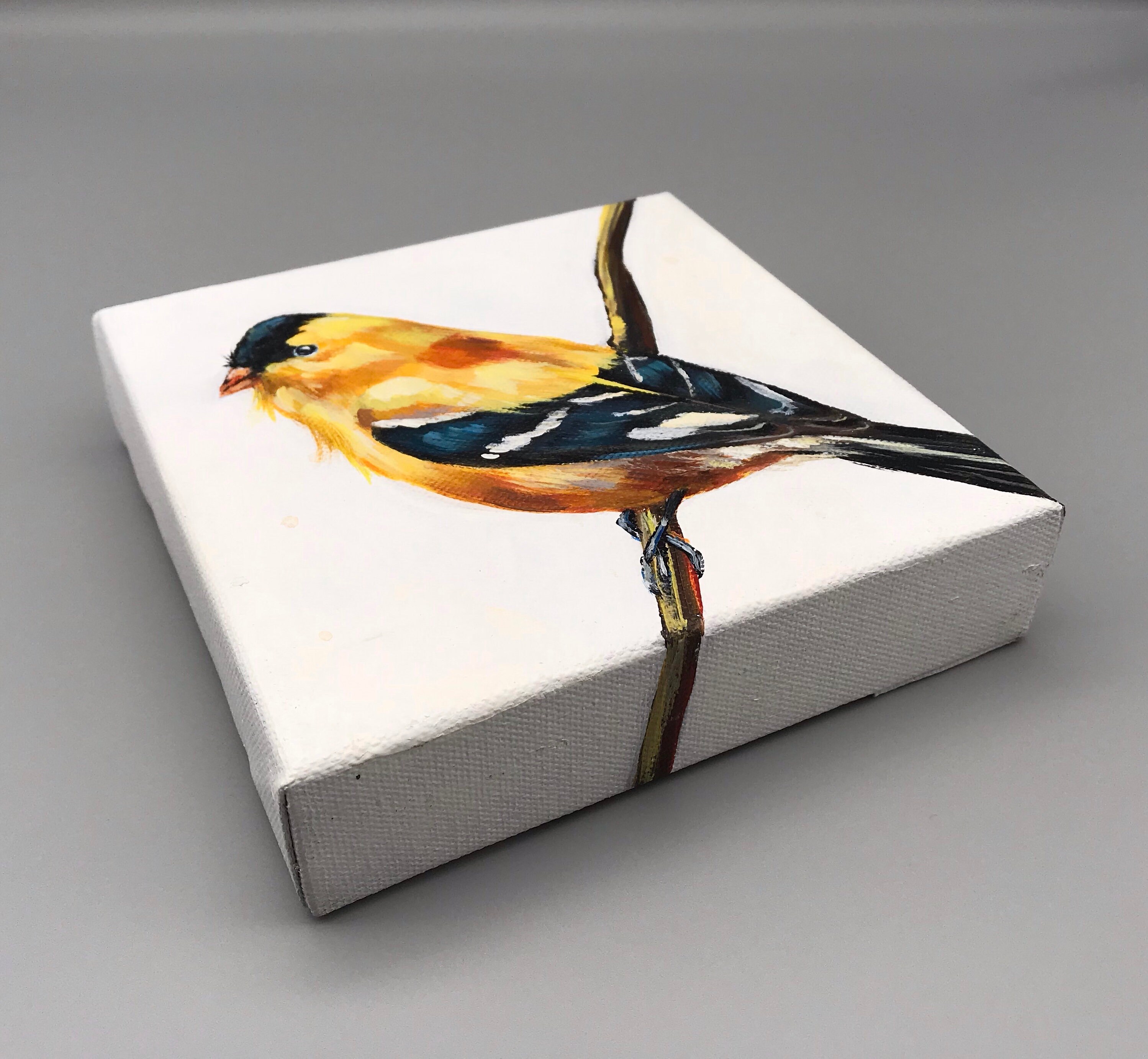 Goldfinch Bird Acrylic Painting Kit . DIY Paint Kits - Etsy
