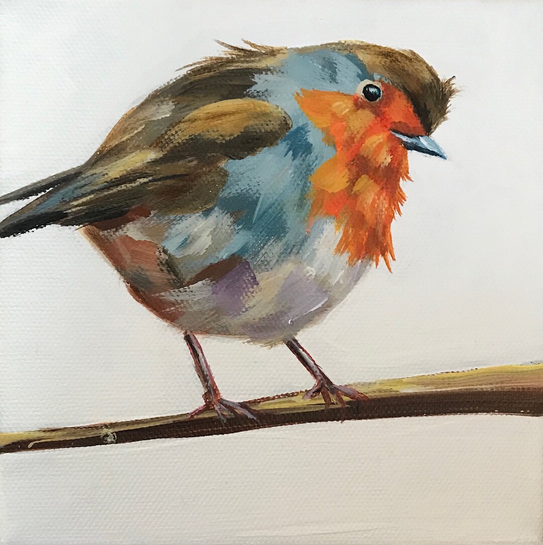 Robin Bird Acrylic Painting Kit | DIY Paint Kits - Etsy