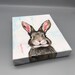 ACRYLIC PAINTING DIY Paint Kits Peter the Rabbit Painting - Etsy