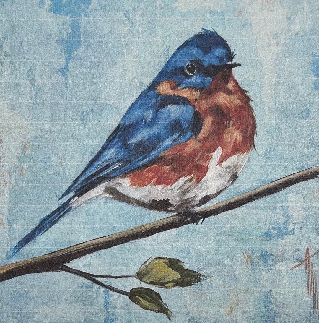 Bird Painting Kits | DIY Paint Kits | Acrylic Painting Kits | First ...