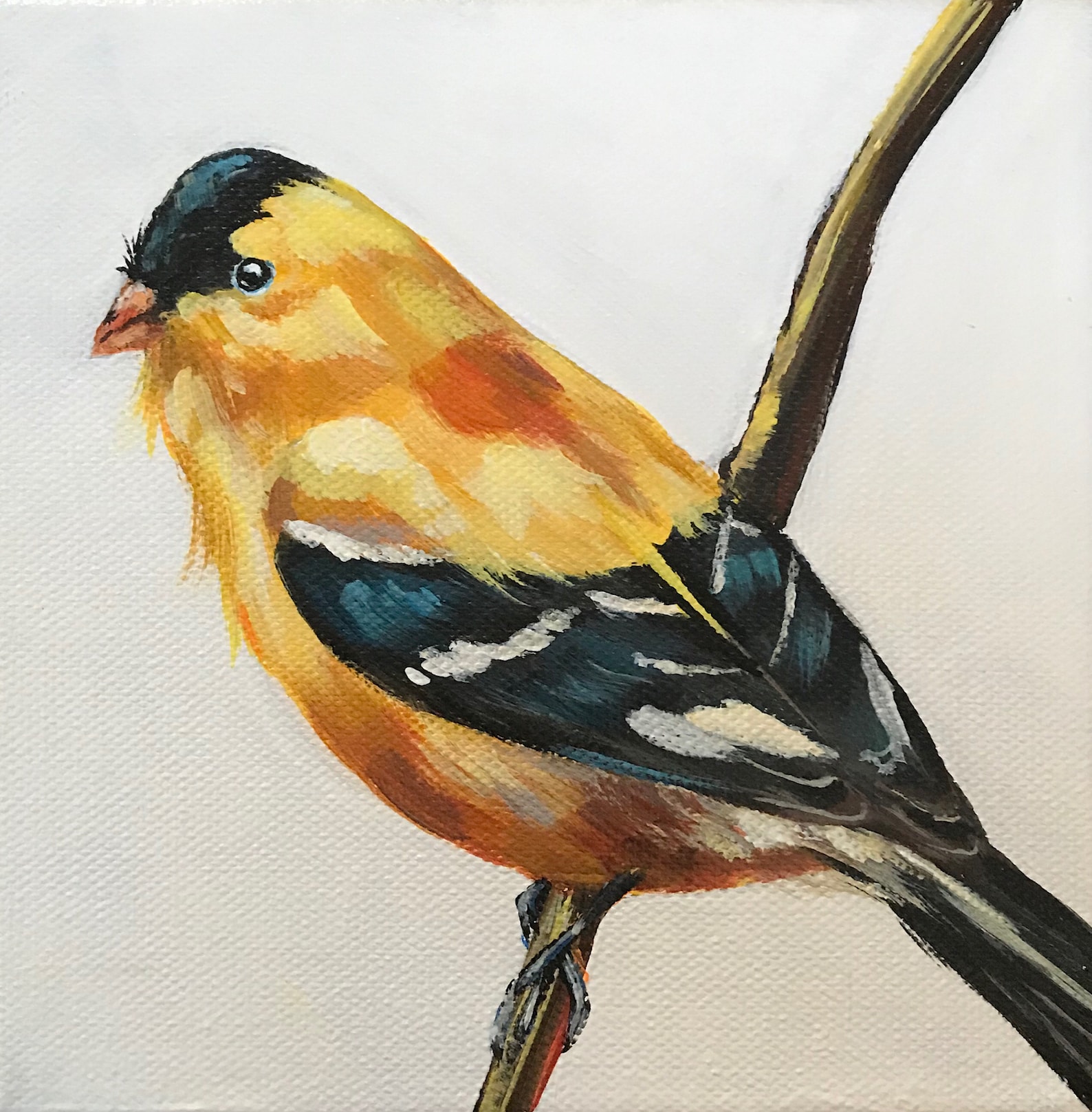 Goldfinch Bird Acrylic Painting Kit . DIY Paint Kits - Etsy