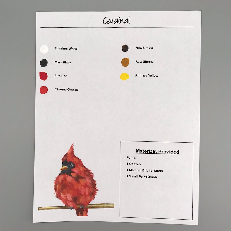 ACRYLIC PAINTING DIY Paint Kit Cardinal Painting | Etsy