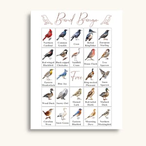 50 Printable Bird Bingo Cards | Bird Species Picture Bingo ...