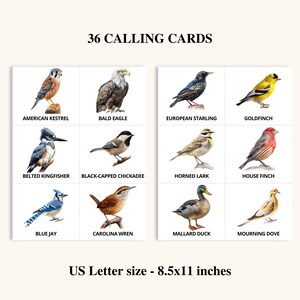 50 Printable Bird Bingo Cards | Bird Species Picture Bingo ...