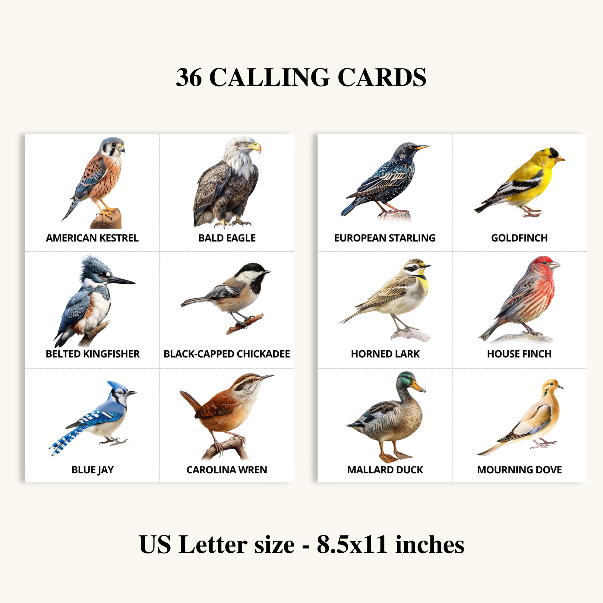 50 Printable Bird Bingo Cards Bird Species Picture Bingo Ornithology ...