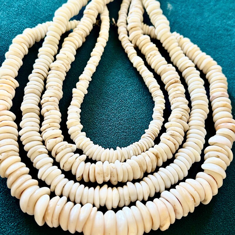 Shell Necklace - Etsy