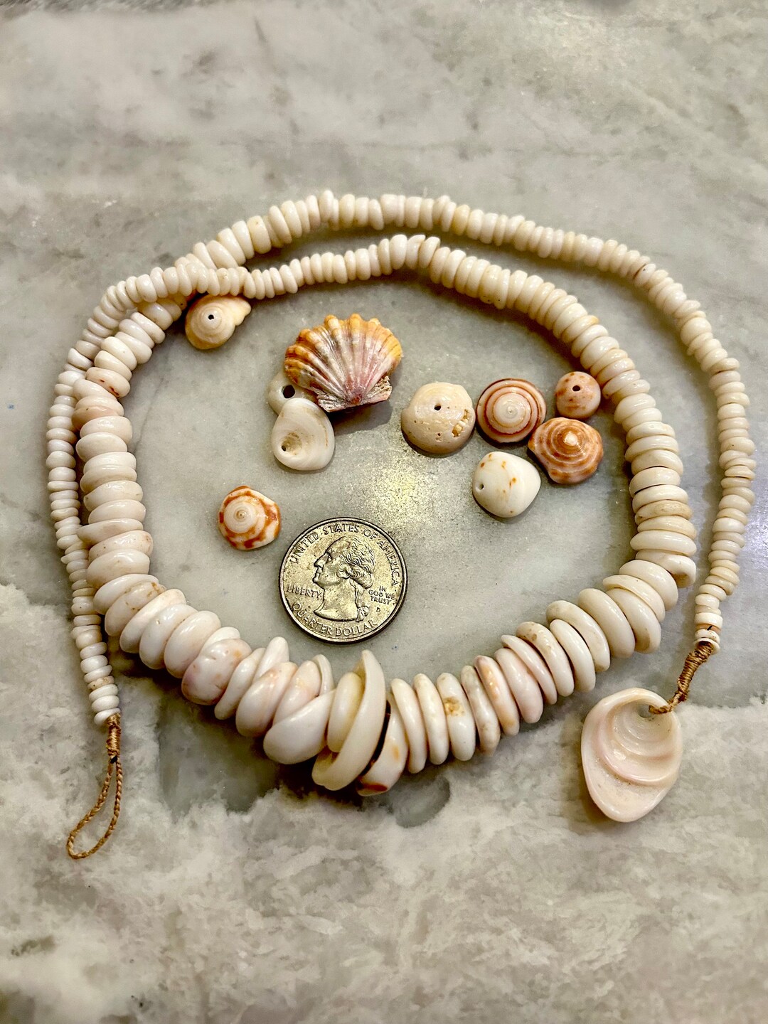 Native Hawaiian Puka Rare Necklace Not Cut Shells Authentic Puka Shells ...