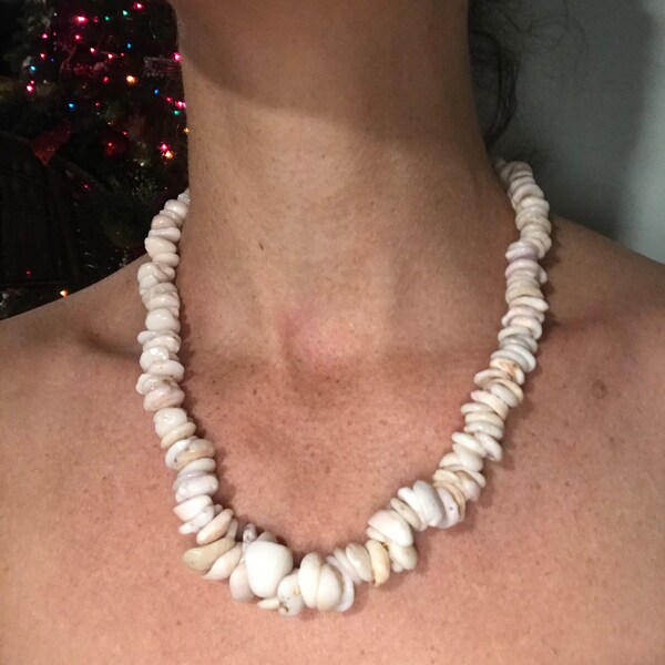 Shells for Sale - Etsy