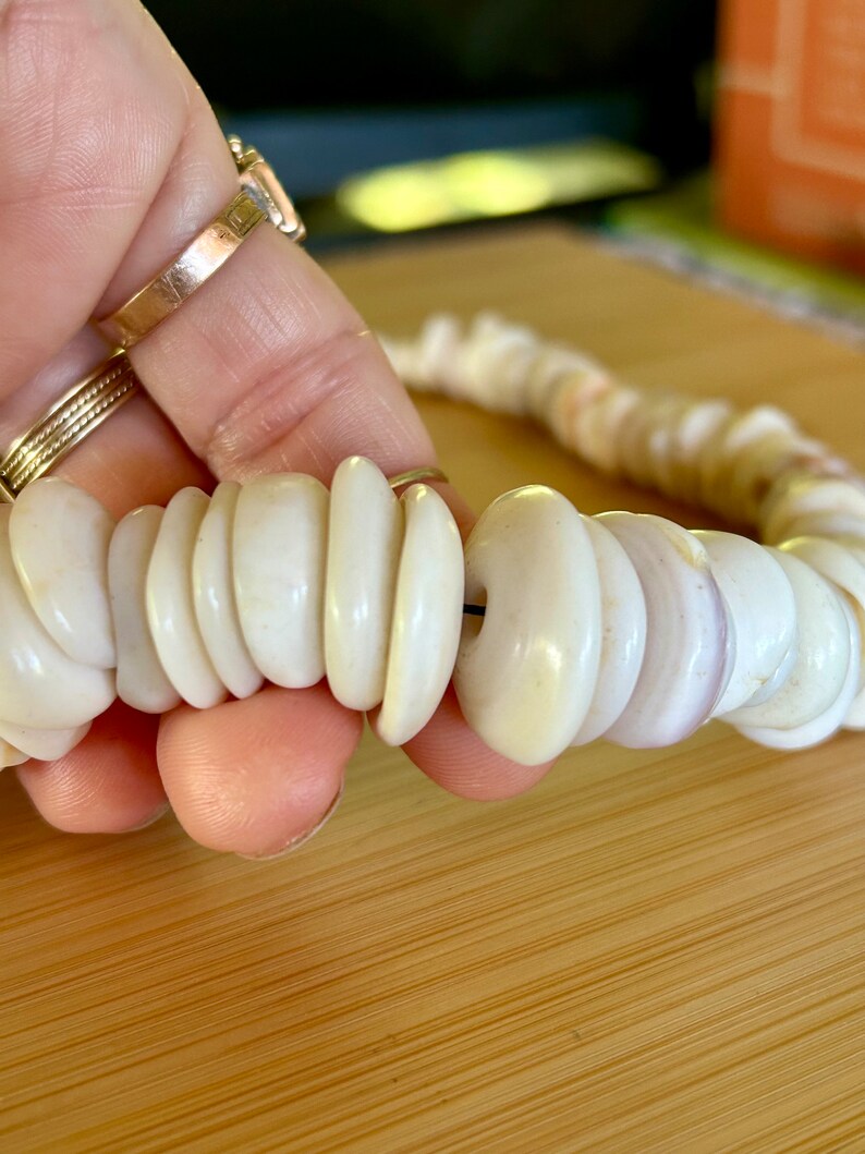 FAT Shell Chunky Real Hawaiian Puka Rare Necklace Not Cut Shells ...