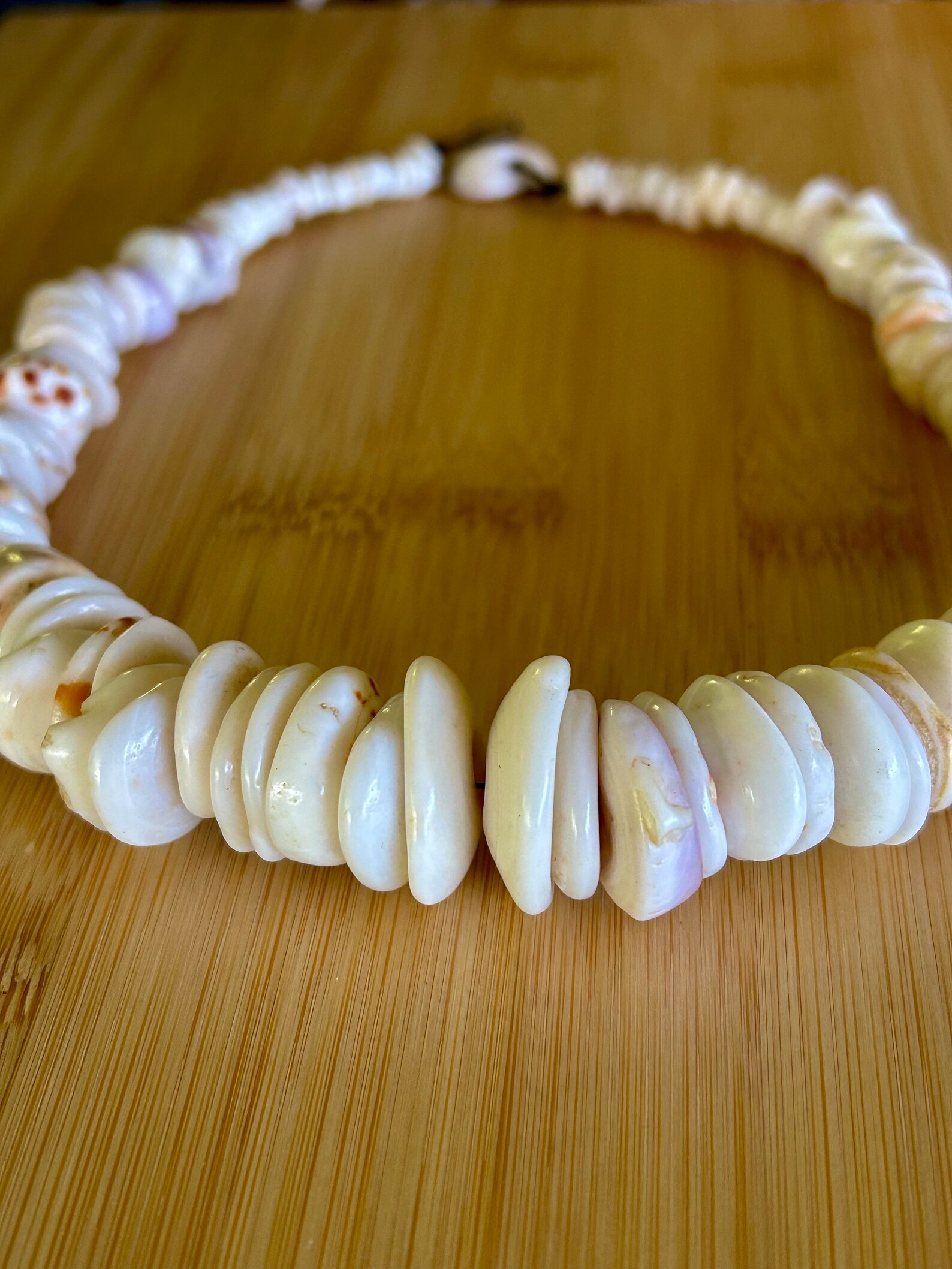 FAT Shell Chunky Real Hawaiian Puka Rare Necklace Not Cut Shells ...