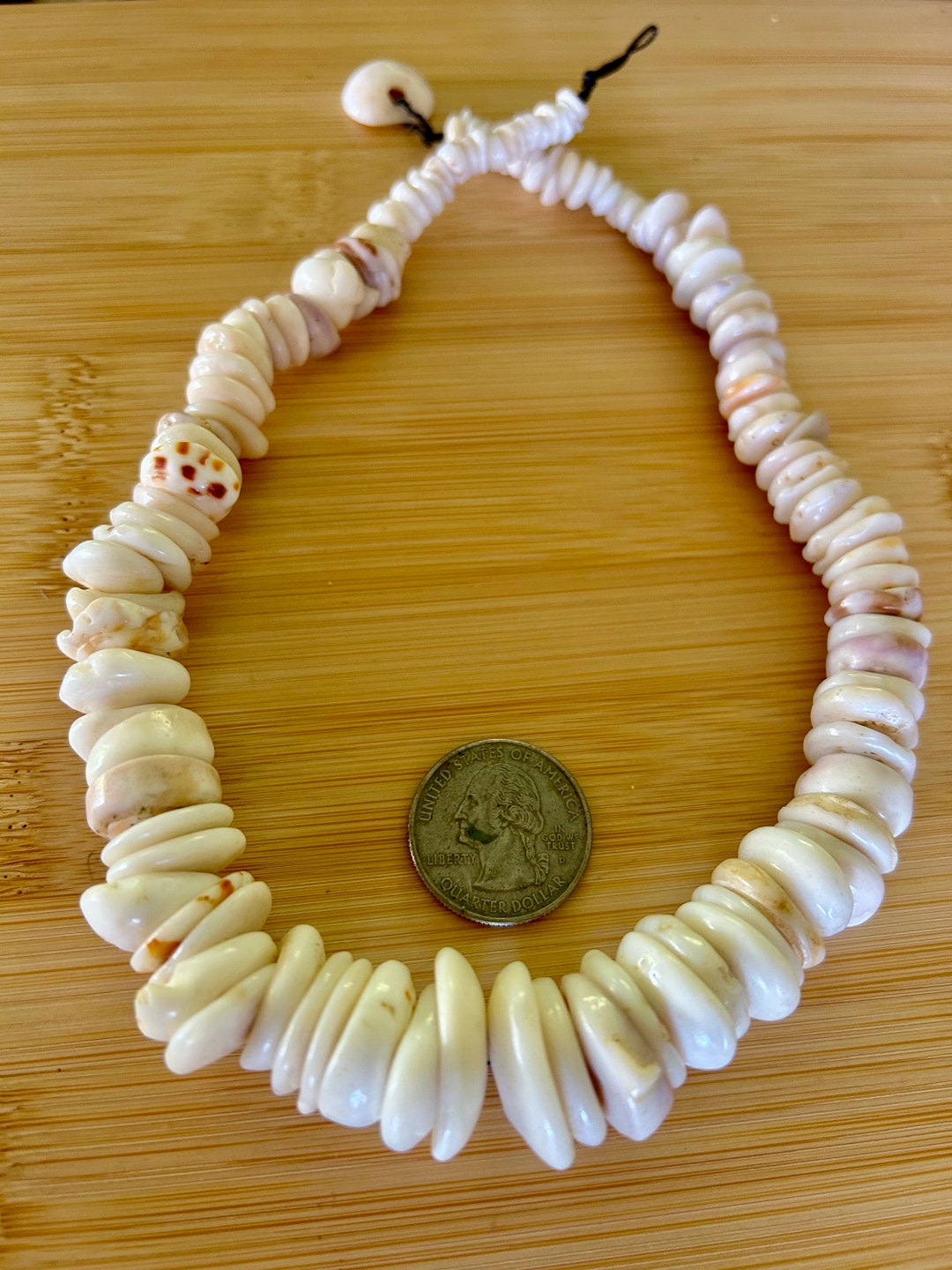 FAT Shell Chunky Real Hawaiian Puka Rare Necklace Not Cut Shells ...