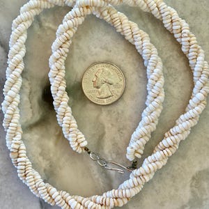 Authentic Pooka Shell Necklace - Etsy