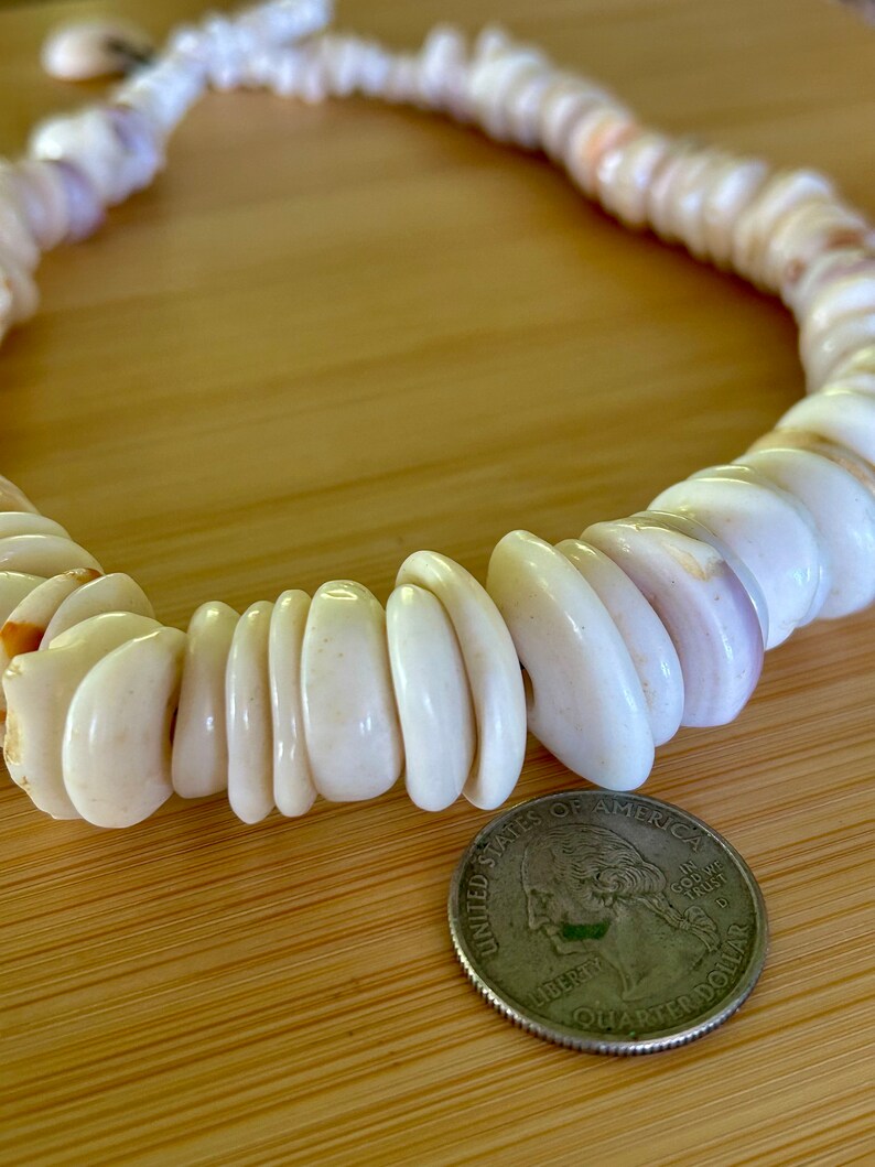 FAT Shell Chunky Real Hawaiian Puka Rare Necklace Not Cut Shells ...