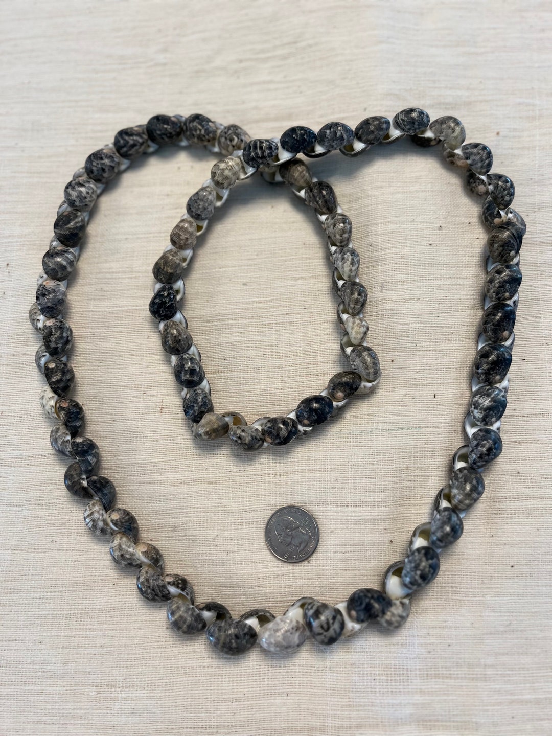 Native Kupee Shell Chunky Real Hawaiian Rare Necklace Authentic PACIFIC ...