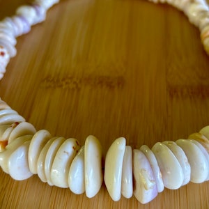 FAT Shell Chunky Real Hawaiian Puka Rare Necklace Not Cut Shells ...