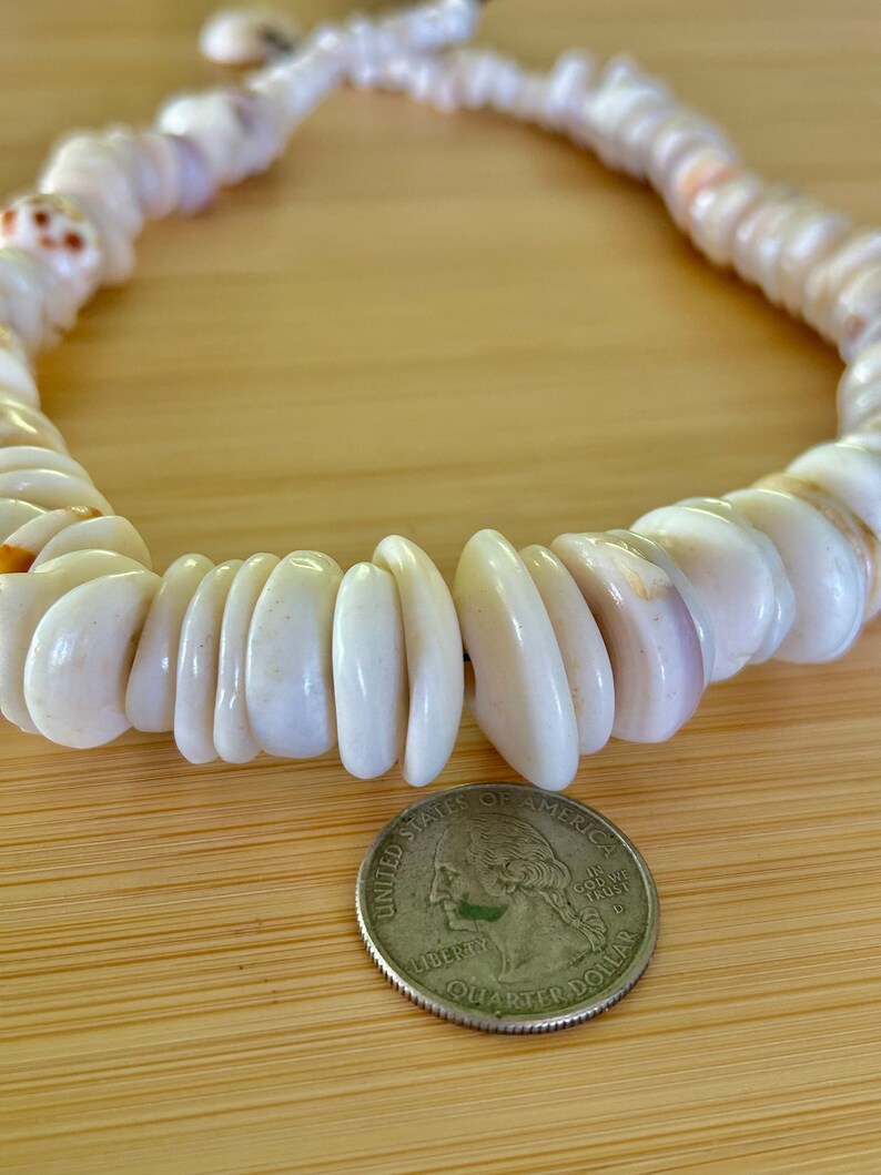 FAT Shell Chunky Real Hawaiian Puka Rare Necklace Not Cut Shells ...