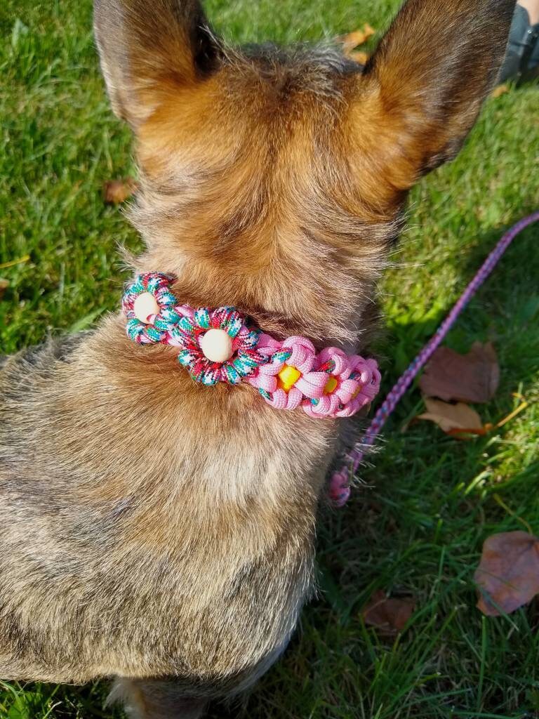 Flower Paracord Collar - Etsy