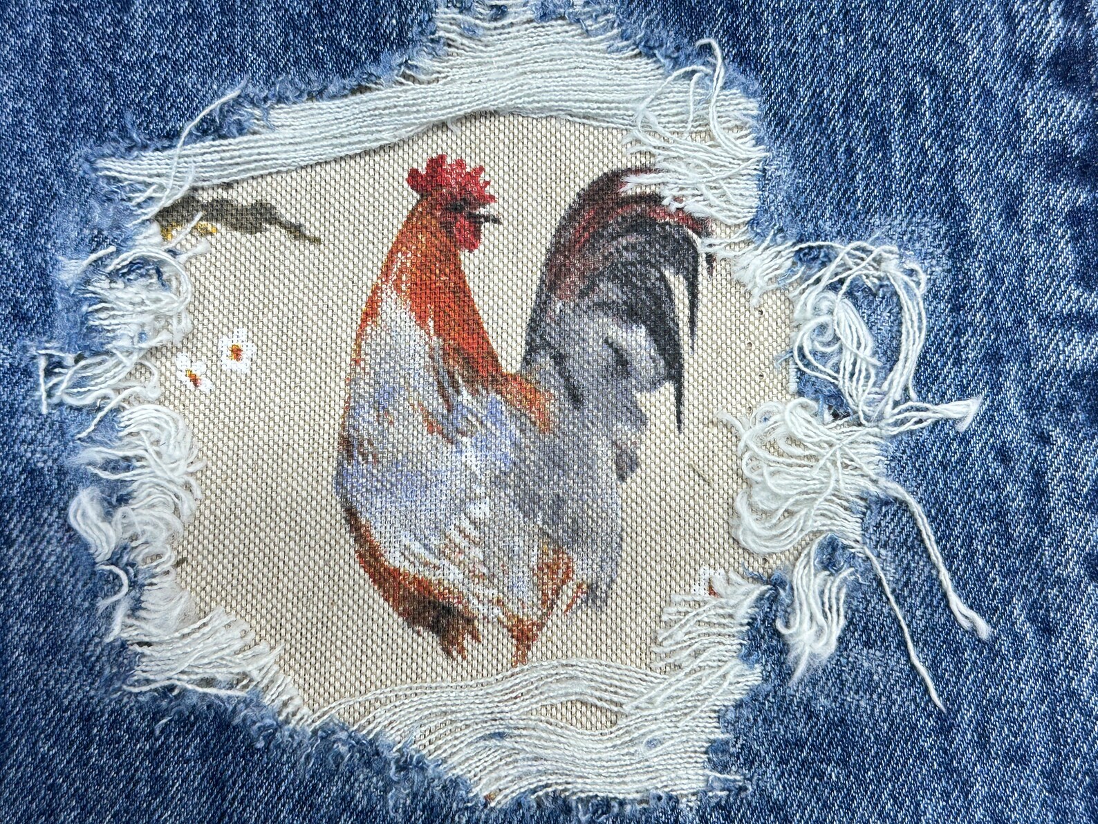 Two Different Chicken Pictures Patches Chicken Lovers Peek a Boo ...