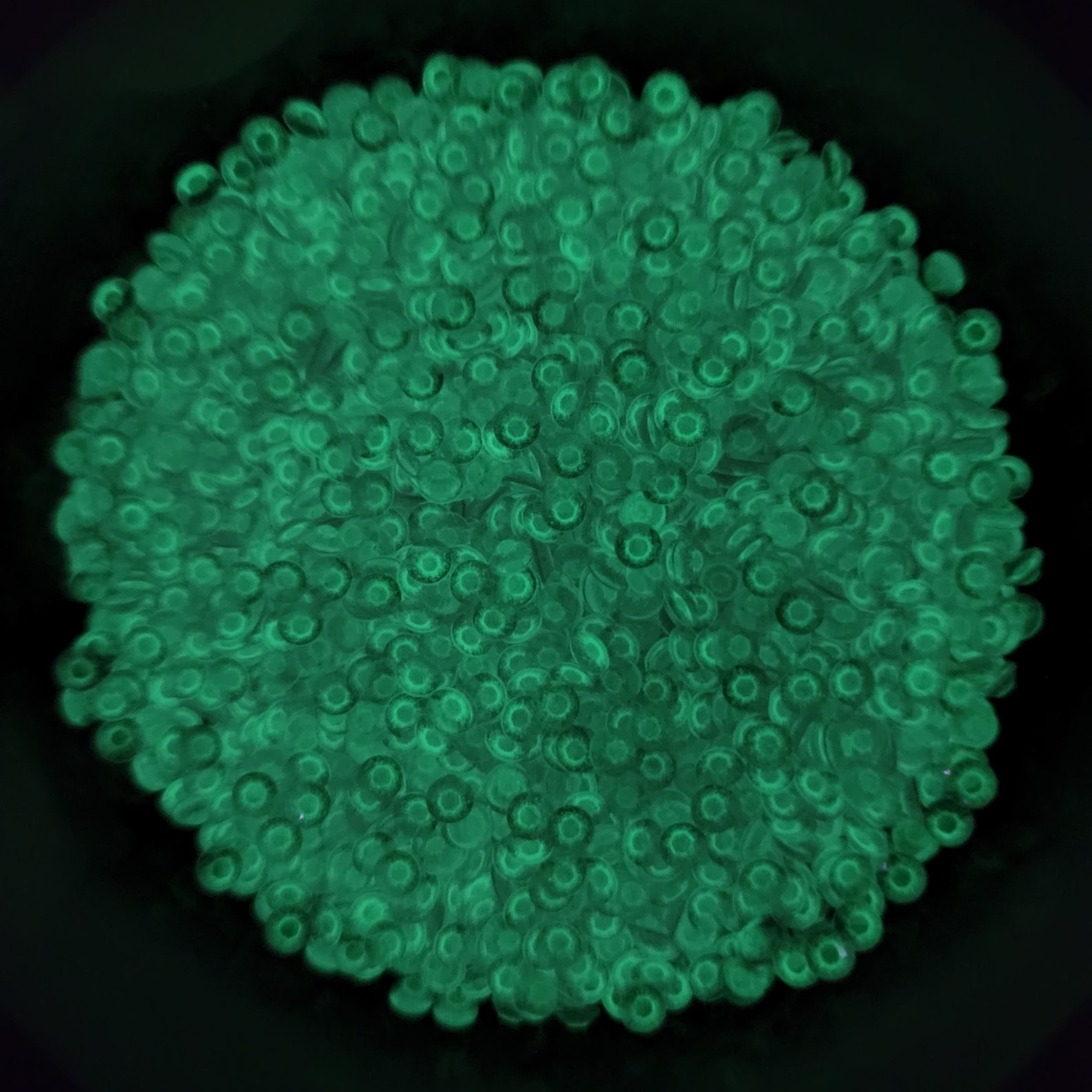 Lucid Lavender - Glow in the Dark Rhinestones - Luminous Collection ...