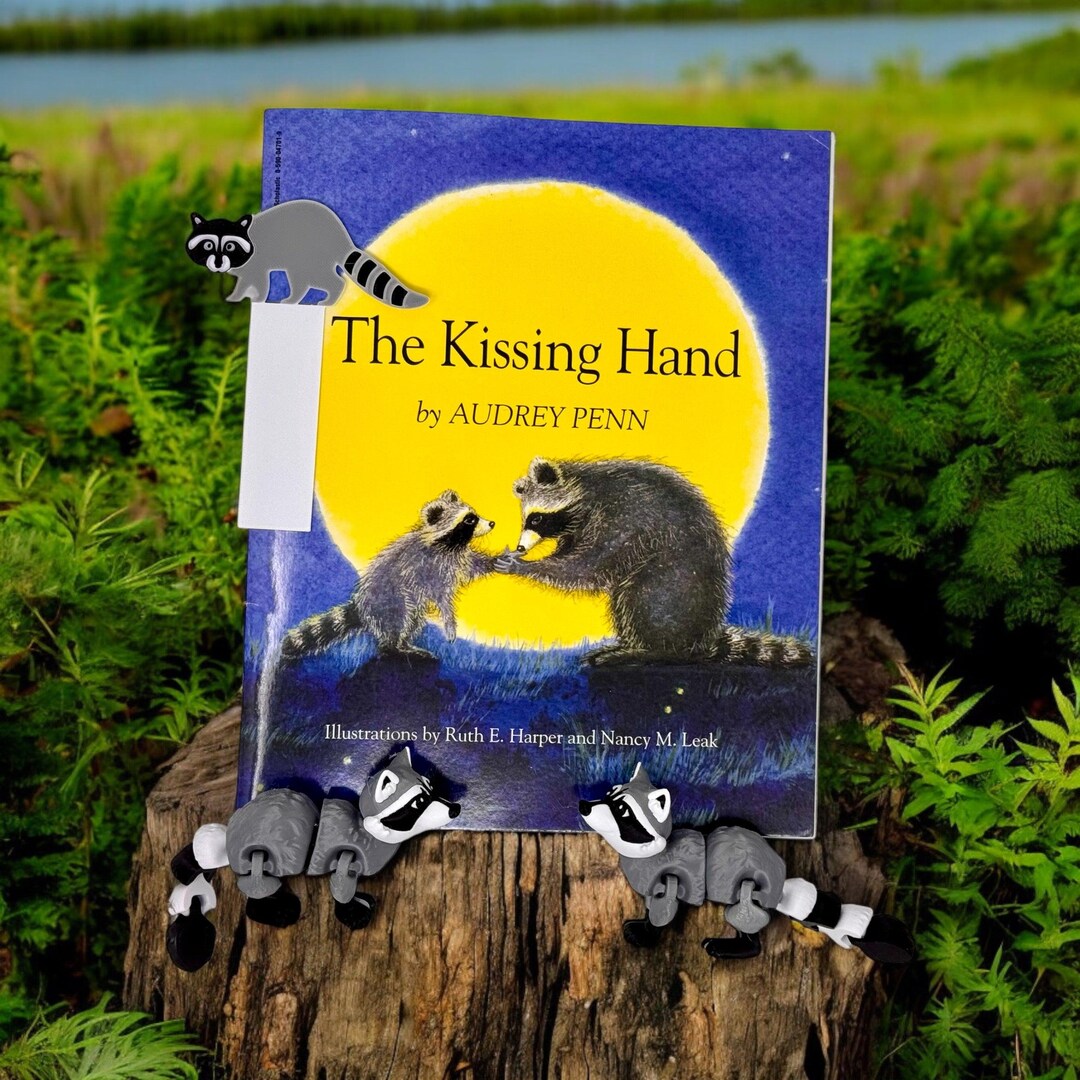 The Raccoon Book Collection - Etsy