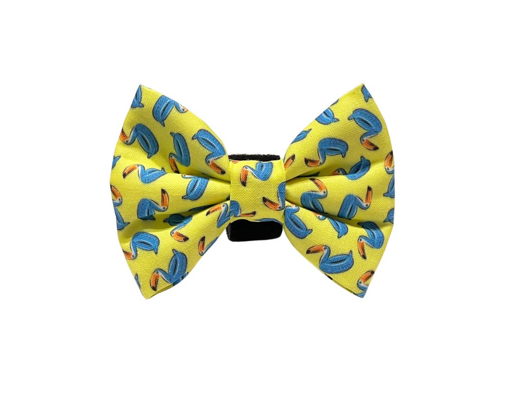 Toucan Float Summer Bow Tie Summer Pool Pool Float - Etsy