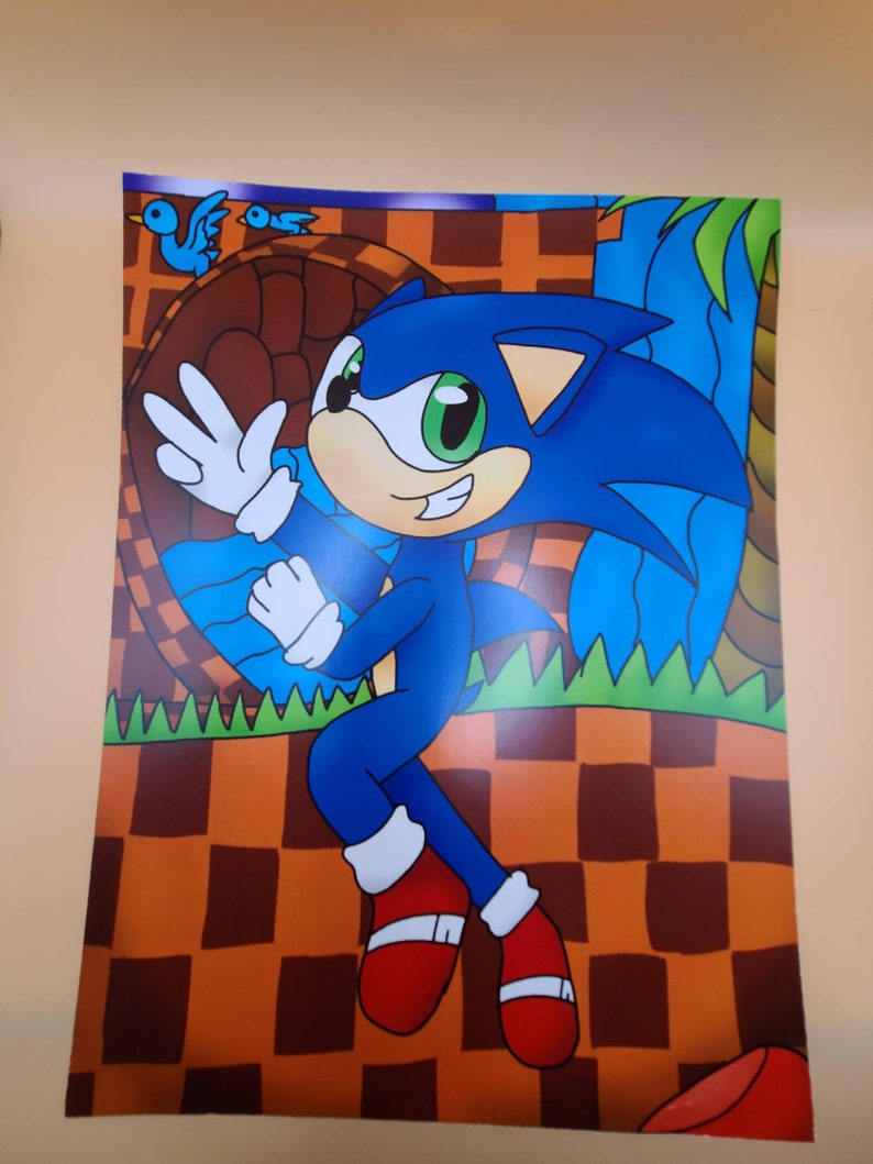 8.5 X 11 Sonic the Hedgehog Print - Etsy