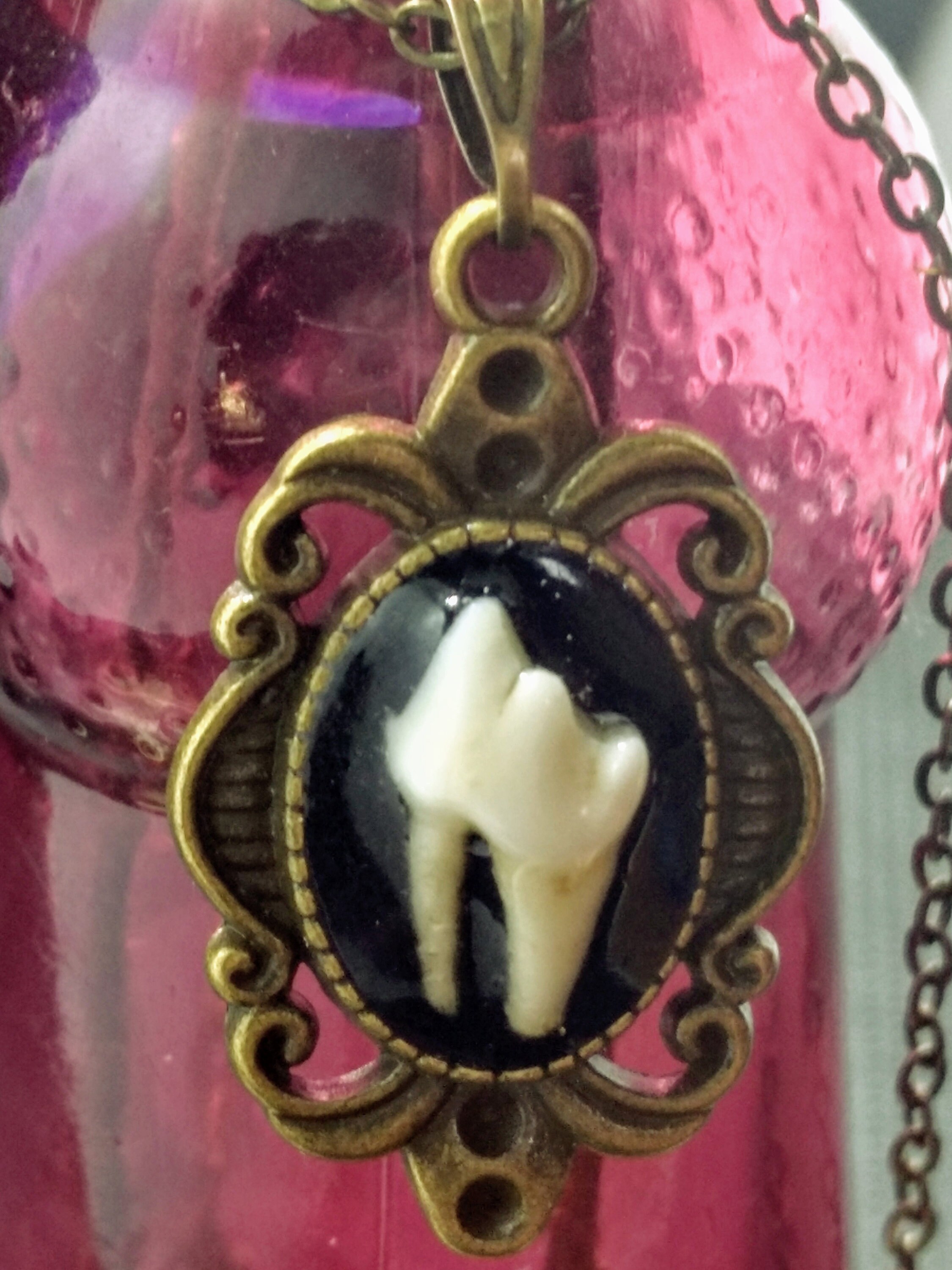 Small Animal Teeth Necklaces 2 Different Styles Apothecary | Etsy