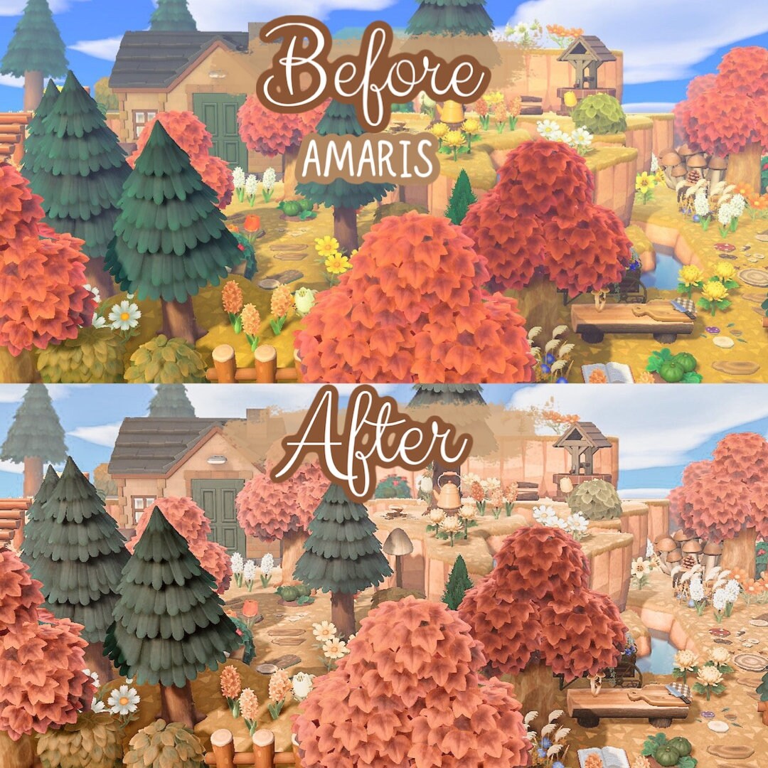 Amaris Preset - Etsy