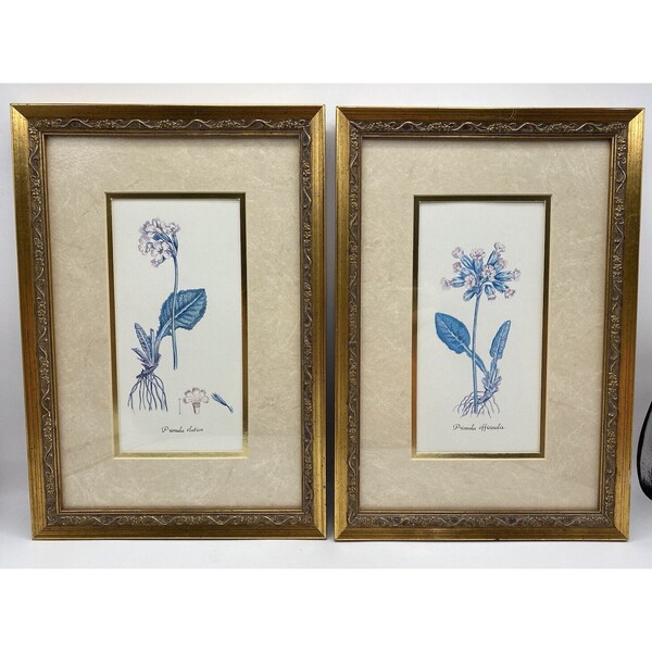 Robert Grace Framed Prints - Etsy