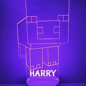 Personalised Led Minecraft Night Light Colour Changing With Remote ...